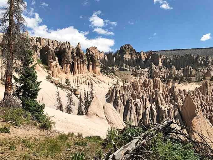 Nature's own sand castle competition, where volcanic rock towers stand frozen in time like ancient skyscrapers.