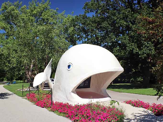 Willie the Whale greets visitors with his mouth wide open, surrounded by cheerful flowers in beautiful Highland Park.