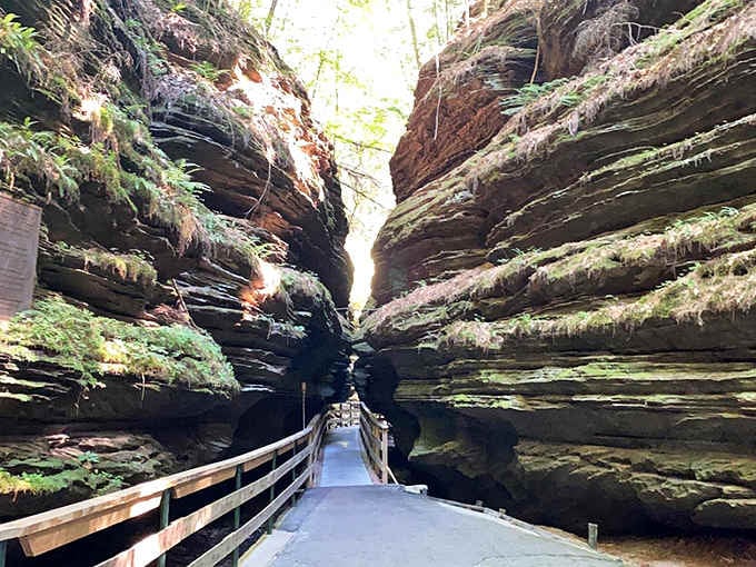 Sunlight filters through the rocky passage above, illuminating ancient stone layers in this enchanting natural corridor.