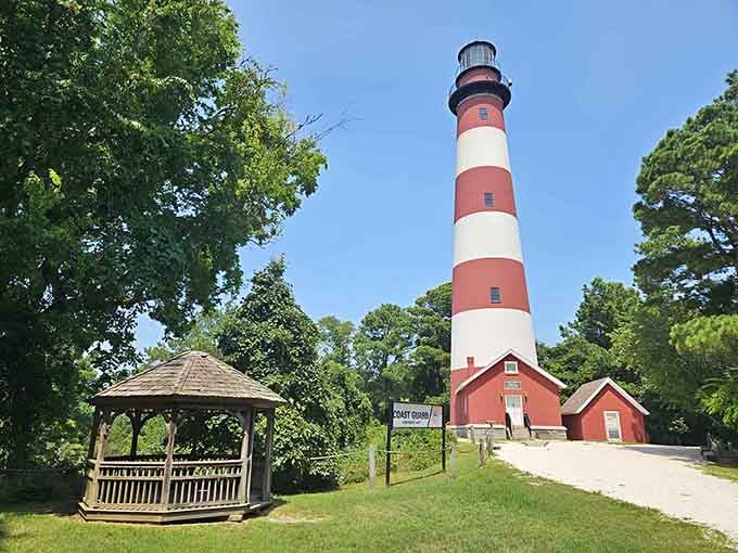 That charming gazebo whispers "come sit a spell" while the lighthouse behind it practically winks at passing ships.