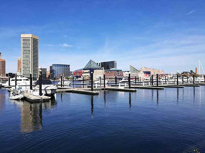 Modern marina meets urban skyline in this peaceful harbor view, where boats bob gently and the city hums quietly.