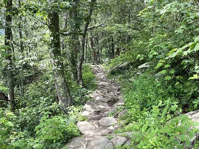 Summer's lush green canopy transforms the stone-stepped path into a cool, shaded sanctuary worth every careful footfall.