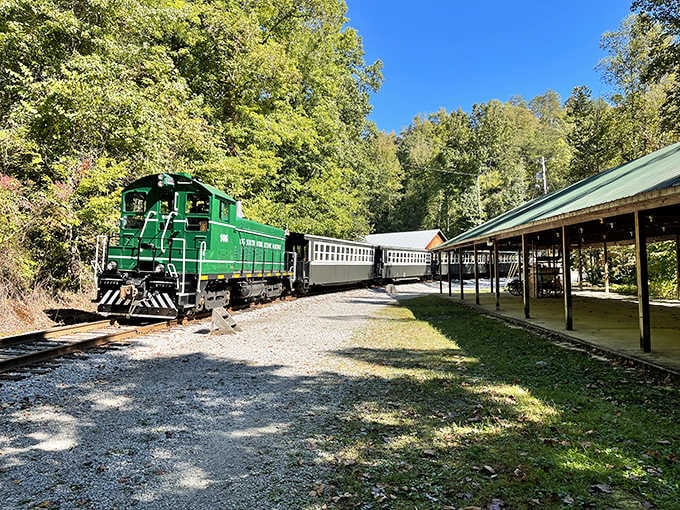 That bright green locomotive nestled among autumn trees proves nature provides the perfect backdrop for any railway adventure.