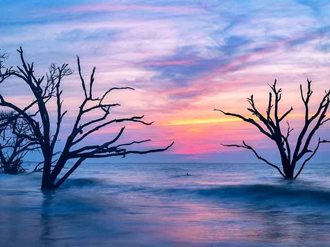 Cotton candy skies meet skeletal trees in a dreamy watercolor that Mother Nature herself would frame.