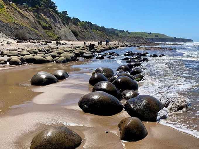 These smooth spheres emerge at low tide, creating a surreal beach scene that looks borrowed from another planet entirely.