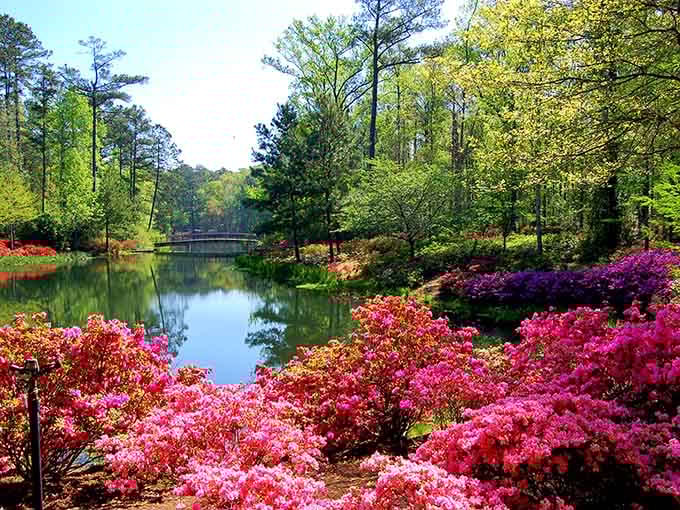 When the lake mirrors the sky and azaleas explode in color, you've found Georgia's answer to paradise.