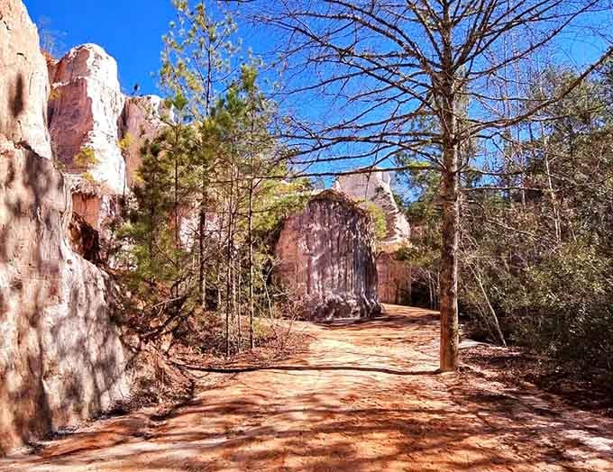 These towering pink cliffs prove Georgia can do dramatic landscapes without borrowing from the Southwest's playbook.