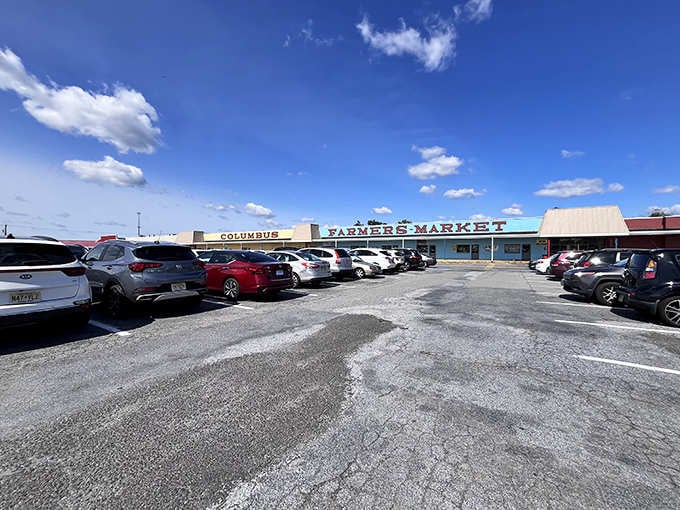 When the parking lot's this packed on a weekday, you know the deals inside are absolutely legendary.