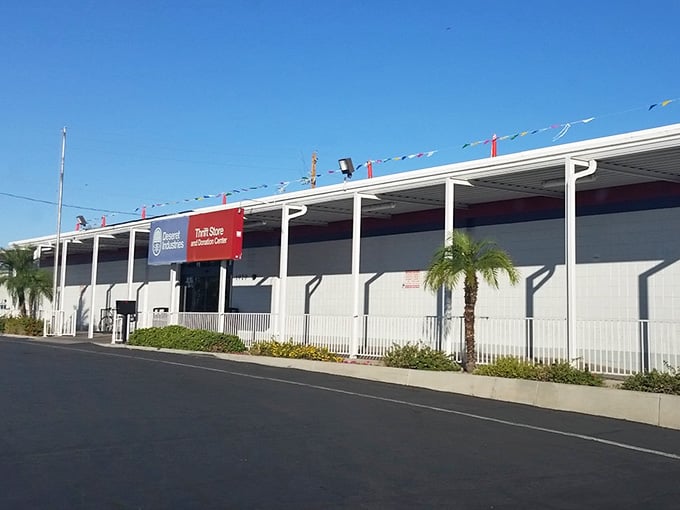 Palm trees welcome you to a thrift paradise that stretches wider than your shopping list.