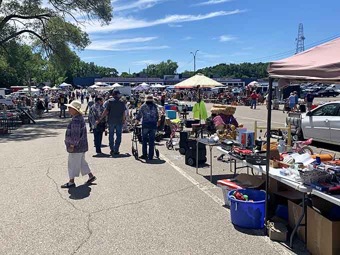 Under blue skies, vendors spread their wares across sun-drenched pavement where every table holds a potential discovery.