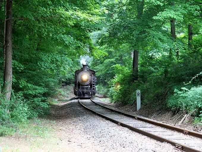 Watch the headlight pierce through a tunnel of green as this vintage steam engine chugs through Connecticut's lush forests.