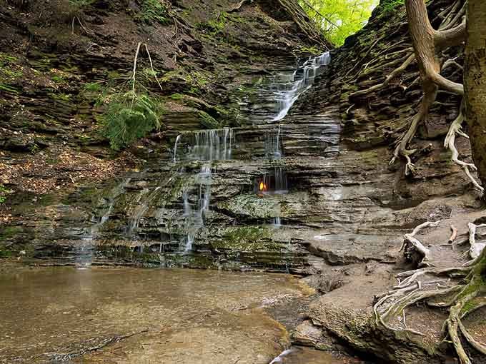 Twisted roots and layered shale frame this enchanting grotto where an eternal flame dances behind cascading water.