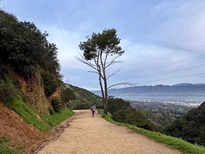 That solitary tree stands like a sentinel, watching over hikers as they wander toward distant mountain vistas.
