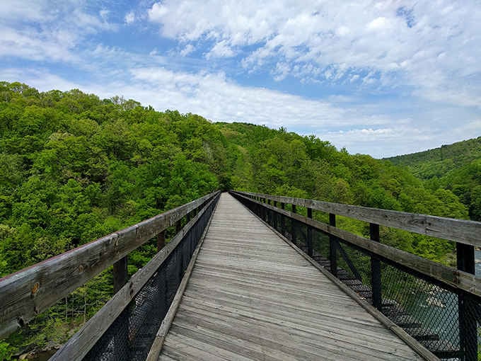 This wooden bridge stretches into green infinity, proving the best views require a little faith in old timber.