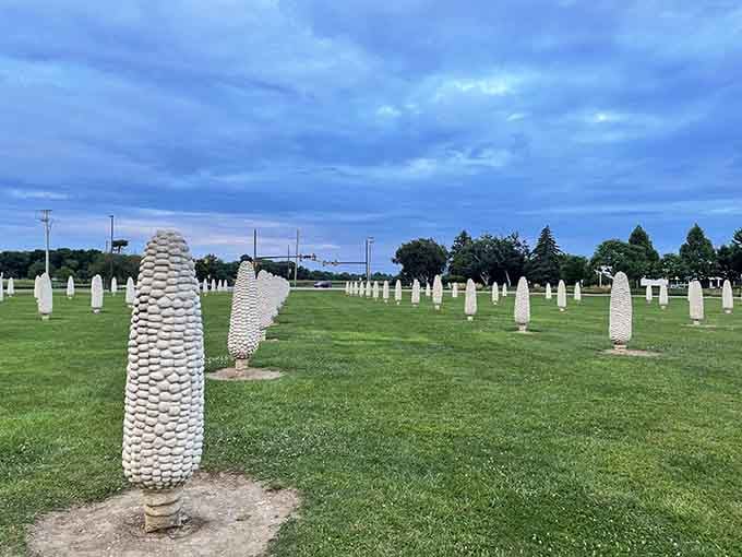 These towering ears of corn cast dramatic shadows across the grass, creating an agricultural art installation you won't soon forget.