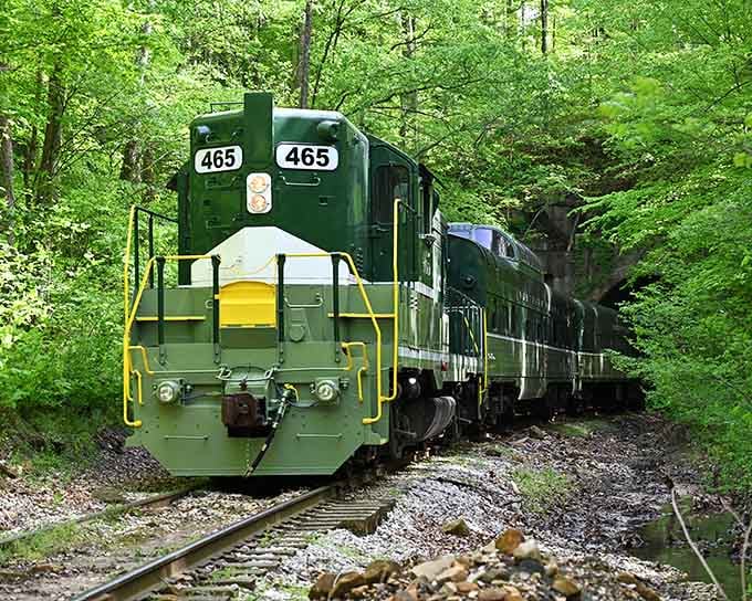 Watch this beauty disappear into the forest canopy, where nature and nostalgia meet on the rails perfectly.