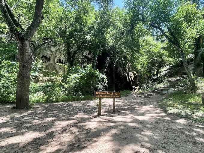 Shaded pathways and dappled sunlight lead you down into the canyon where nature's green curtain awaits your arrival.