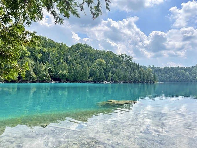 Crystal-clear waters meet lush forest in this geological wonder that proves nature has better special effects than Hollywood.