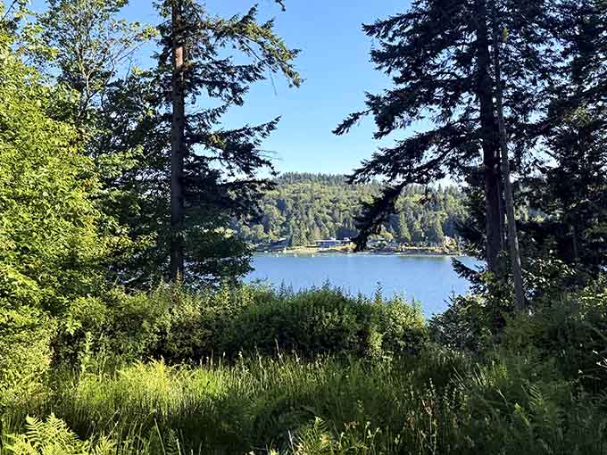 Through towering evergreens, the sparkling water beckons like a postcard you'd actually want to receive.