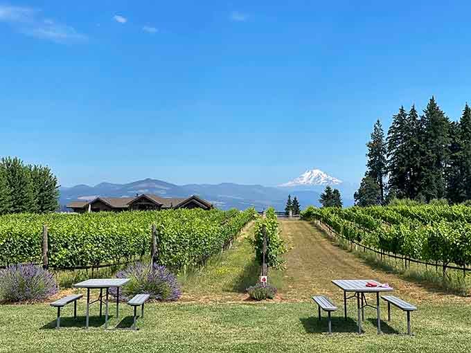 Purple lavender rows meet mountain views and picnic tables&mdash;this is where relaxation looks as good as it feels.