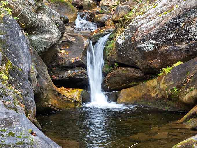 This intimate waterfall whispers secrets as it tumbles into its own private stone amphitheater below.