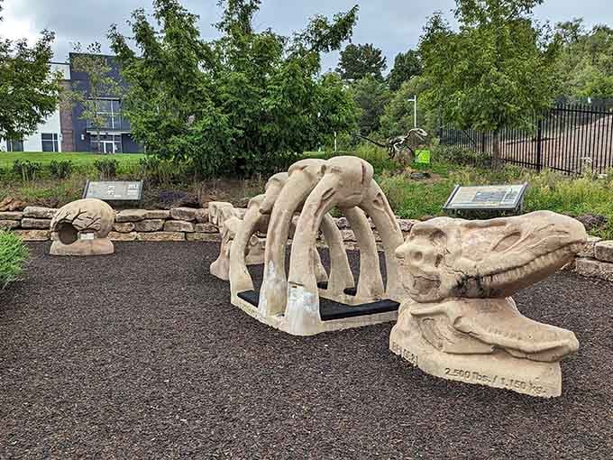 The prehistoric skeleton display stretches across the park, offering kids and adults an unforgettable photo opportunity.