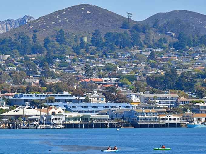 Kayakers glide past waterfront homes while that iconic volcanic plug watches over everything like a gentle giant.