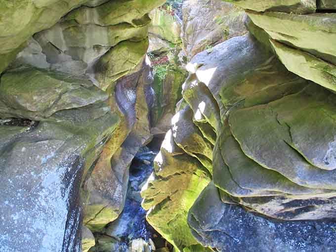 Peering into this ancient gorge reveals layers of sculpted stone that water carved with infinite patience and artistry.
