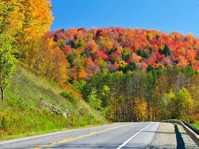 When autumn paints the hillsides like a Crayola explosion, this highway becomes pure rolling art therapy.