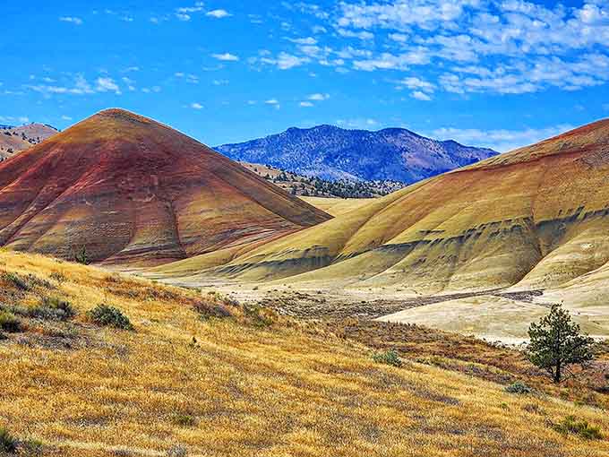 Those golden hills against blue mountains prove Mother Nature never needs a second draft when creating beauty.