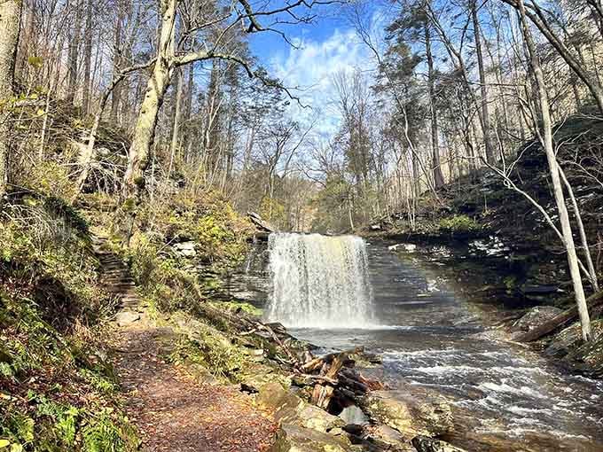 This waterfall drops like a perfect white veil, framed by birch trees that stand guard like nature's sentinels.