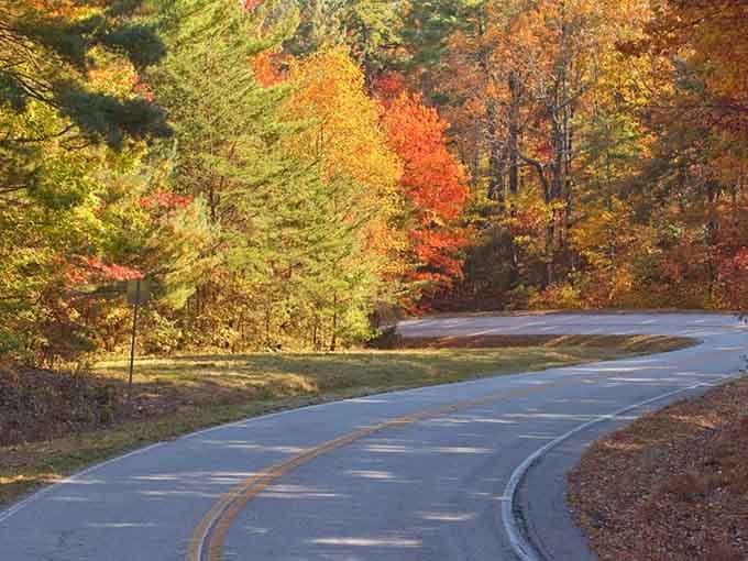Every curve reveals another reason to slow down and let the fall colors work their magic.