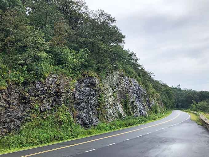 Ancient rock walls tower beside the pavement like nature's own highway guardrails, weathered and wonderfully dramatic.