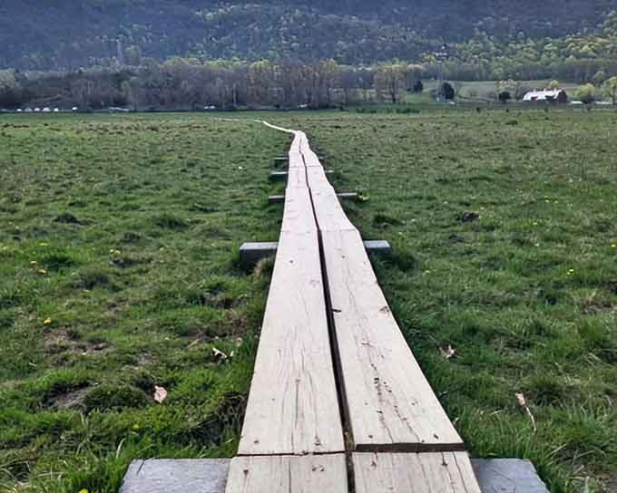That wooden boardwalk stretches across emerald meadows like a bridge to tranquility, mountains standing guard beyond.
