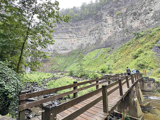 Follow this peaceful boardwalk through the canyon, where green moss clings to ancient stone like nature's wallpaper.