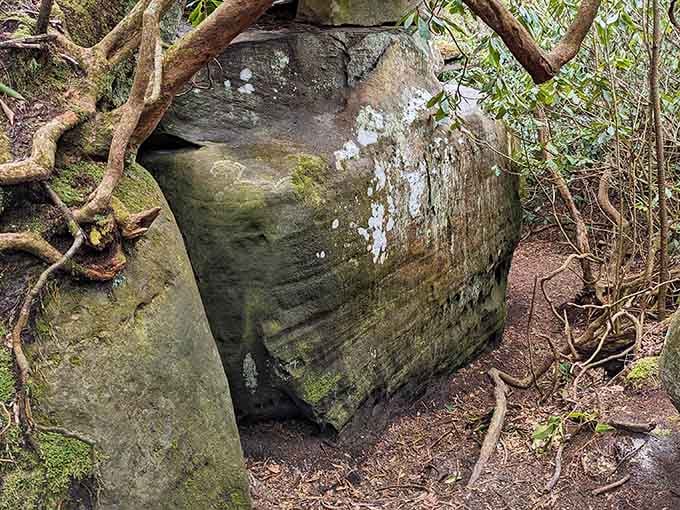 Moss-covered boulders frame this natural corridor where time has sculpted stone into a geological masterpiece worthy of any art museum.