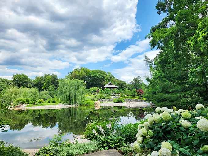 Mirror-perfect reflections and white hydrangeas create a scene so peaceful, even your worries take a vacation.