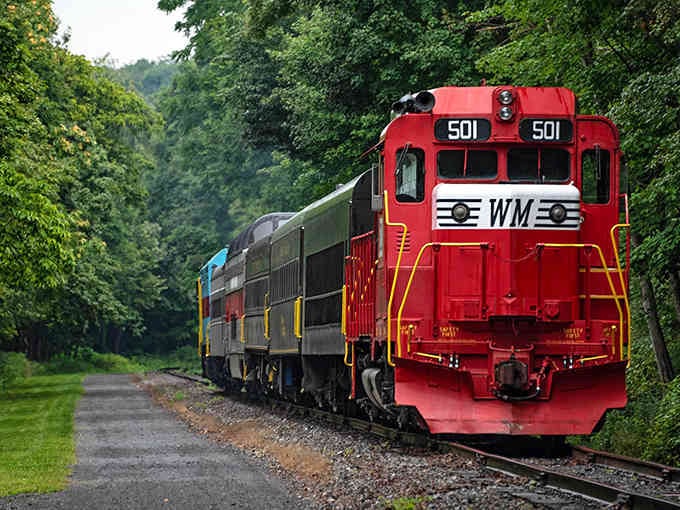 That bold red engine cutting through green forests proves some journeys are worth slowing down to savor properly.
