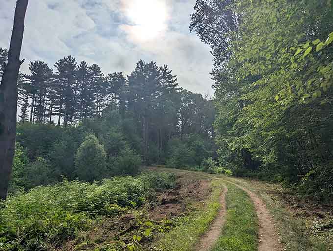 When storm clouds gather overhead, the trail takes on a moody beauty that Ansel Adams would've loved.