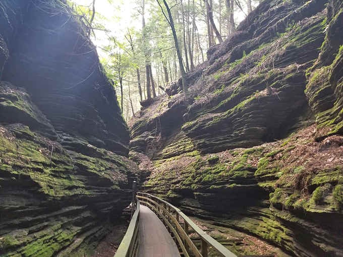 Mother Nature carved this narrow canyon like a master sculptor, creating moss-draped walls that tower overhead magnificently.