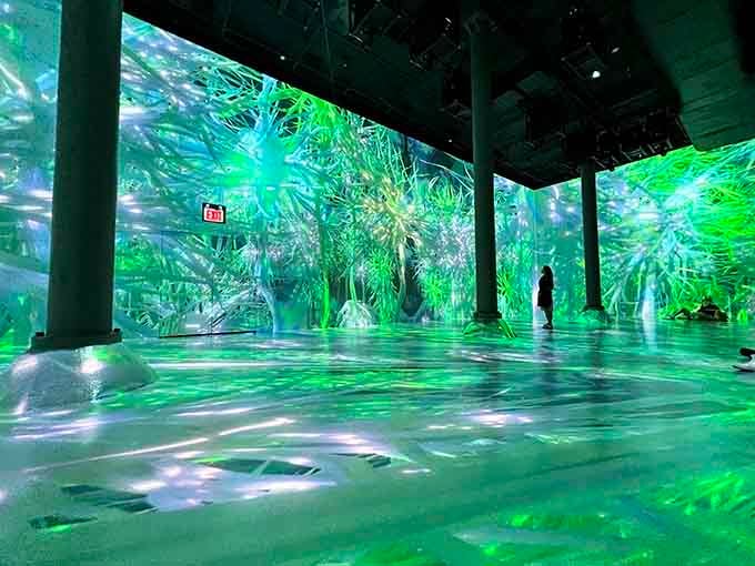 When digital forests come alive beneath your feet, you know you're not in Kansas anymore, Dorothy.