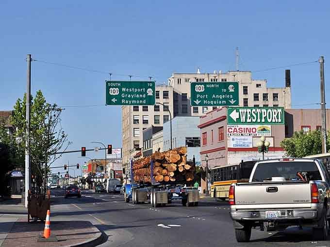 Logging trucks still rumble through downtown, reminding you this town's roots run deeper than any tech startup's mission statement.