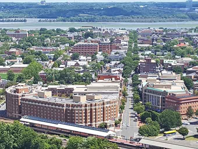 From this bird's-eye view, you can spot the Potomac River doing its thing while Old Town spreads out like history's favorite postcard.