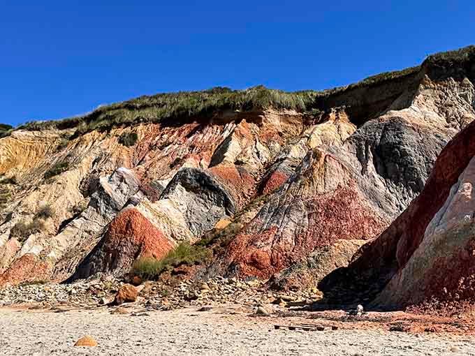 Nature's paint palette on full display: rust, cream, charcoal, and every earth tone you never knew existed.