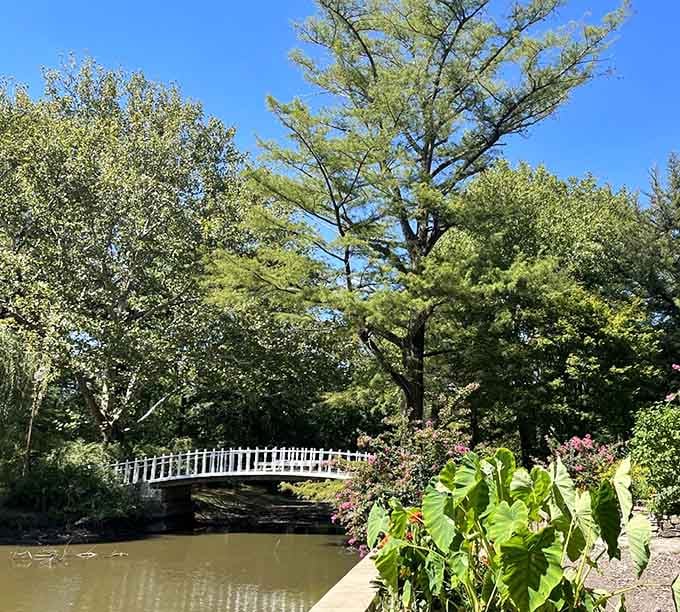 That elegant white bridge over tranquil waters proves Connecticut knows how to frame a perfect moment.