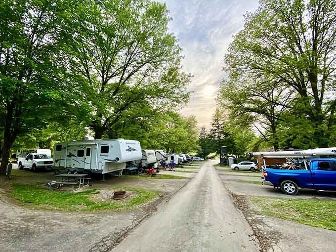 RV sites lined up like a neighborhood where everyone's front yard includes trees and their backyard is adventure.