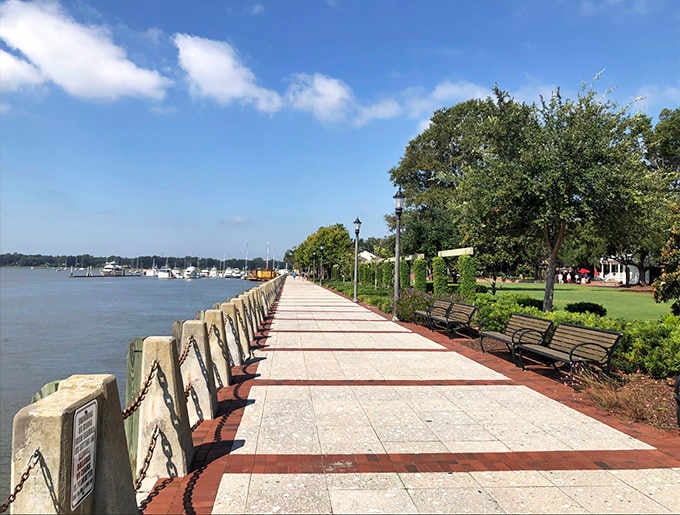 The waterfront promenade stretches invitingly along the river, promising peaceful strolls and guaranteed dolphin sightings ahead.