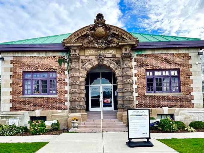 That ornate entrance isn't just for show; it's basically announcing that something magical is waiting inside for you.