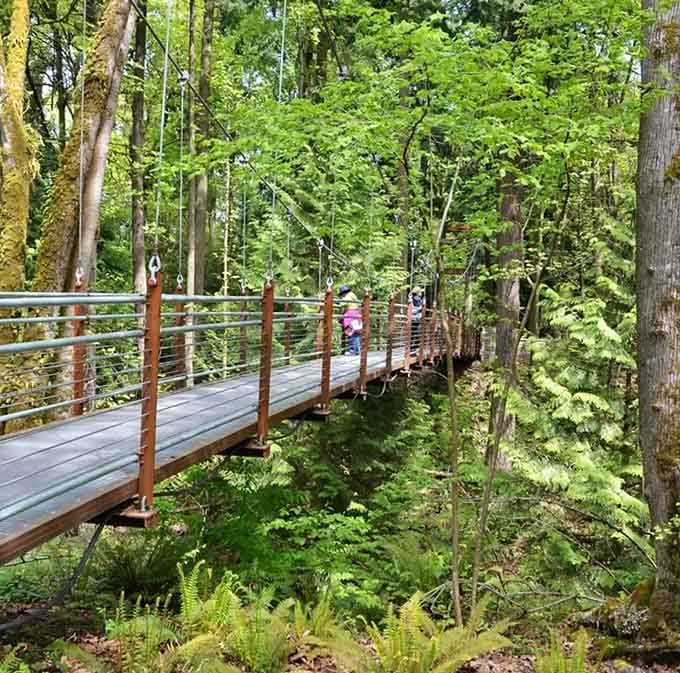The suspended walkway offers views that'll make you wonder why you've been walking on the ground all these years.