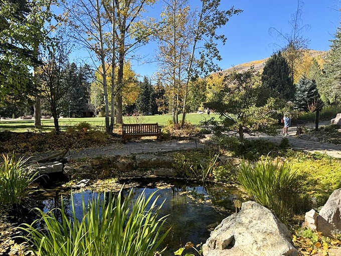 This tranquil pond proves that sometimes the best therapy doesn't require an appointment, just a quiet bench.